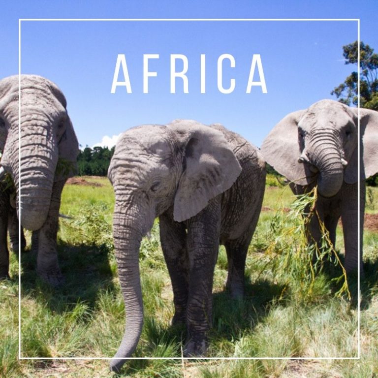 Country Guide | Our Traveling Zoo